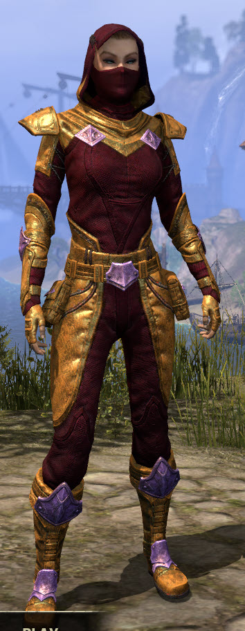 ESO Fashion | Ascendant Order Rawhide (Elder Scrolls Online)