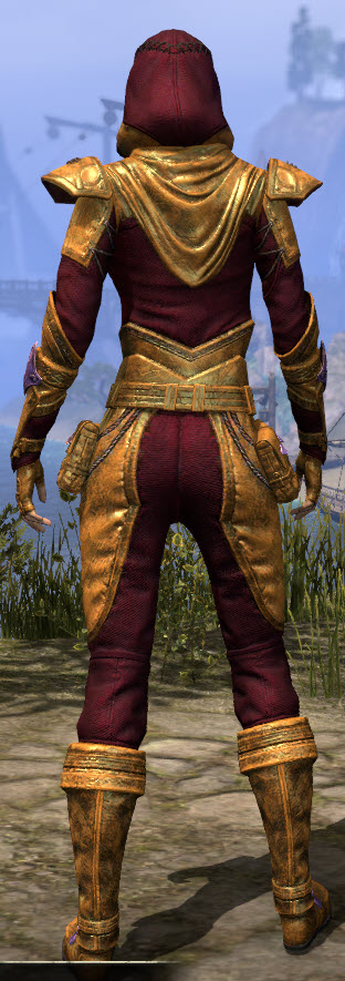ESO Fashion | Ascendant Order Rawhide (Elder Scrolls Online)