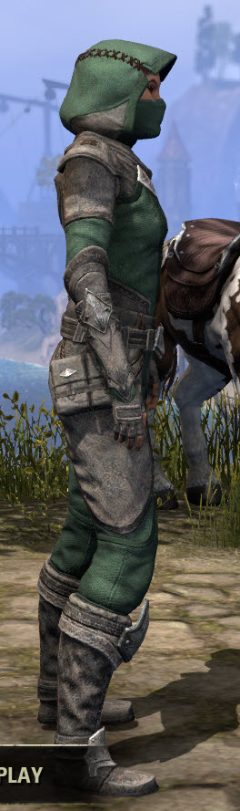 ESO Fashion | Ascendant Order Rawhide (Elder Scrolls Online)