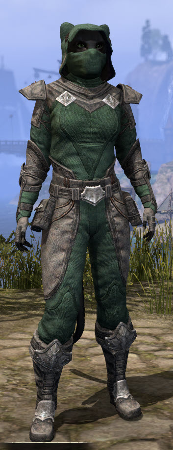 ESO Fashion | Ascendant Order Rawhide (Elder Scrolls Online)