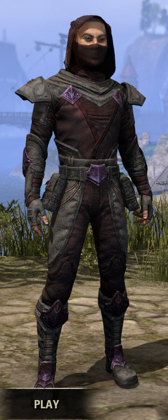ESO Fashion | Ascendant Order Rubedo Leather (Elder Scrolls Online)