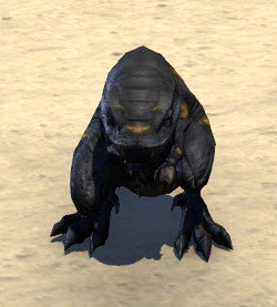 ESO Fashion | Salmandrine Pony Guar (Elder Scrolls Online)