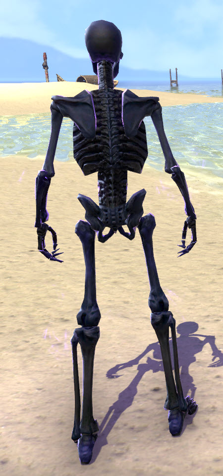 ESO Fashion | Boneman (Elder Scrolls Online)