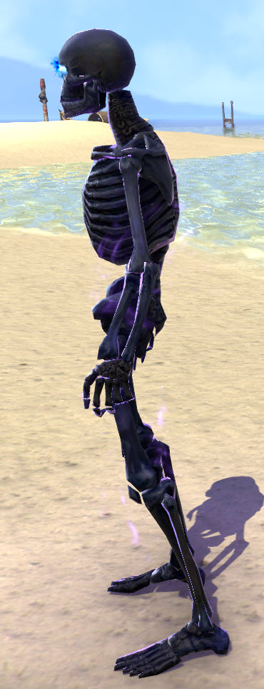 ESO Fashion | Boneman (Elder Scrolls Online)