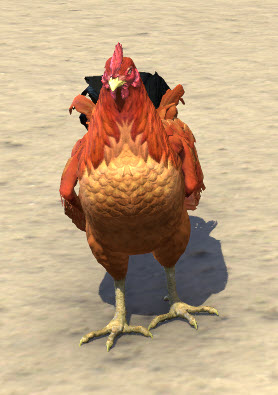ESO Fashion | Crusader's Coin Chicken (Elder Scrolls Online)