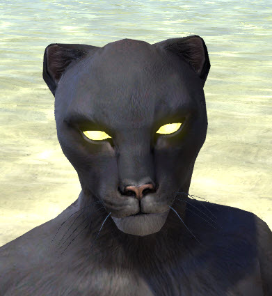 ESO Fashion | Eyes of Umaril (Elder Scrolls Online)