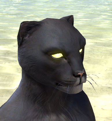 ESO Fashion | Eyes of Umaril (Elder Scrolls Online)