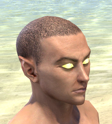 ESO Fashion | Eyes of Umaril (Elder Scrolls Online)