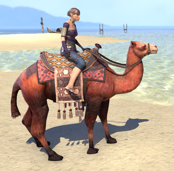 ESO Fashion | Hel Ra Camel of Kingship (Elder Scrolls Online)