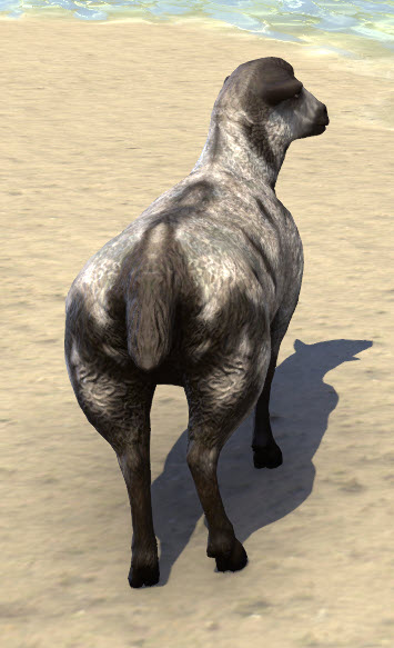 ESO Fashion | Mottled Sheep (Elder Scrolls Online)
