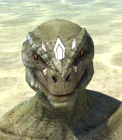 ESO Fashion | Red Diamond Face Stainwork (Elder Scrolls Online)