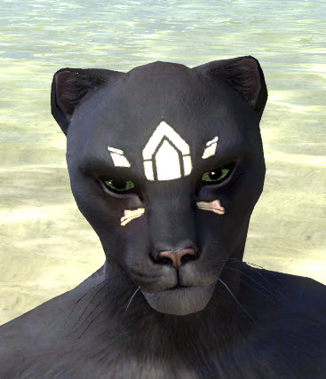 ESO Fashion | Red Diamond Face Stainwork (Elder Scrolls Online)