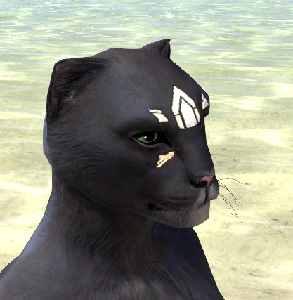 ESO Fashion | Red Diamond Face Stainwork (Elder Scrolls Online)