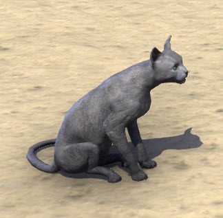 ESO Fashion | Silver-Gray Mouser Cat (Elder Scrolls Online)