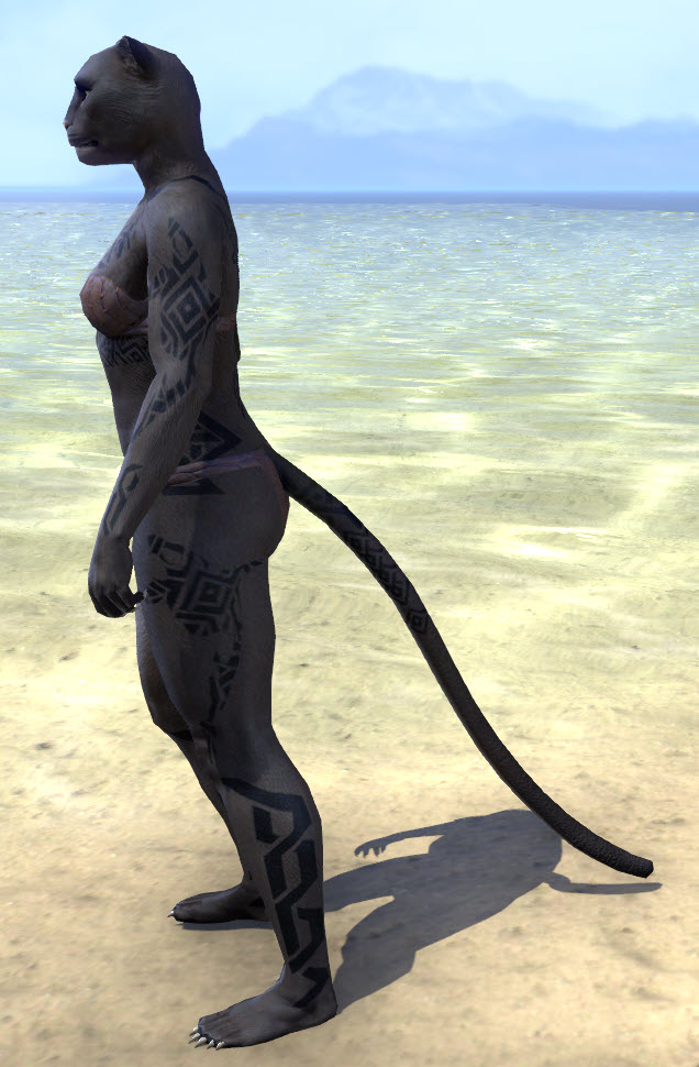 ESO Fashion | Skald's Body Branding (Elder Scrolls Online)