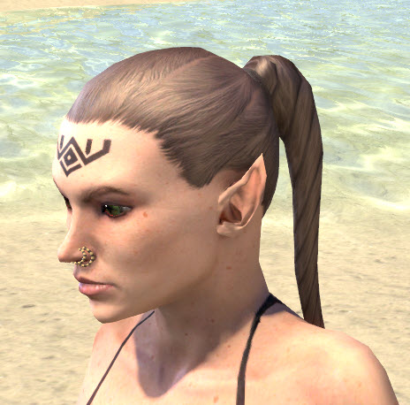 ESO Fashion | Skald's Face Branding (Elder Scrolls Online)