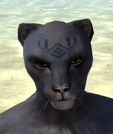ESO Fashion | Skald's Face Branding (Elder Scrolls Online)