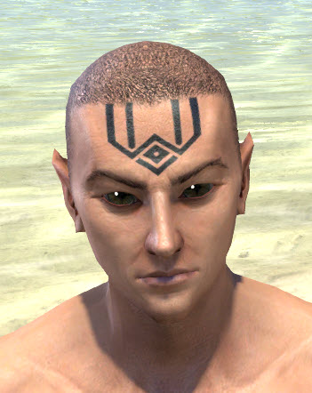 ESO Fashion | Skald's Face Branding (Elder Scrolls Online)