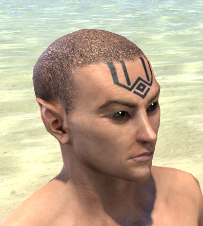 ESO Fashion | Skald's Face Branding (Elder Scrolls Online)