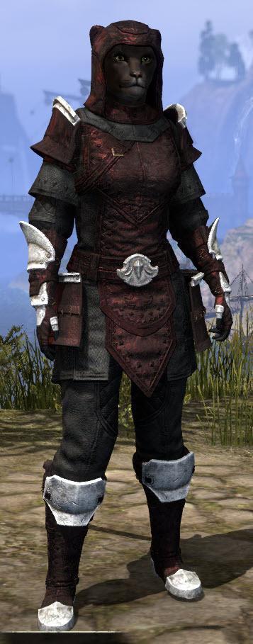 ESO Fashion | Steadfast's Mettle (Elder Scrolls Online)