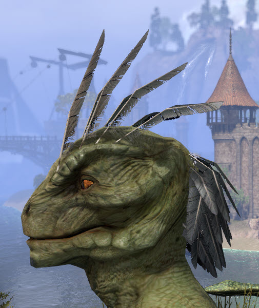 ESO Fashion | Draping Locks (Elder Scrolls Online)