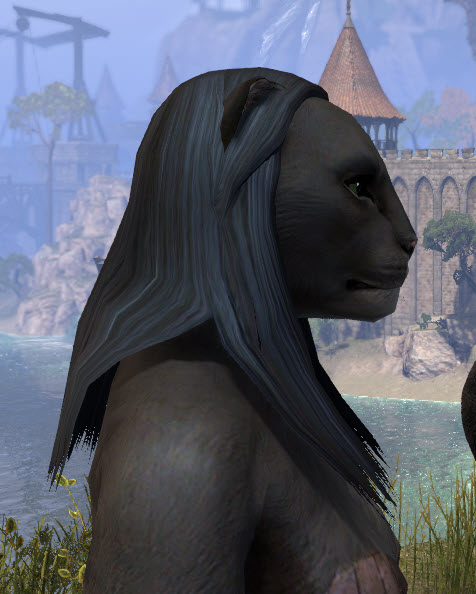 ESO Fashion | Draping Locks (Elder Scrolls Online)