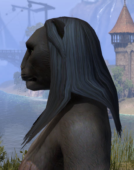 ESO Fashion | Draping Locks (Elder Scrolls Online)