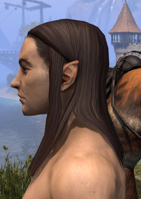 ESO Fashion | Draping Locks (Elder Scrolls Online)