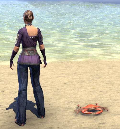 ESO Fashion | High Isle Crab, Steamed (Elder Scrolls Online)