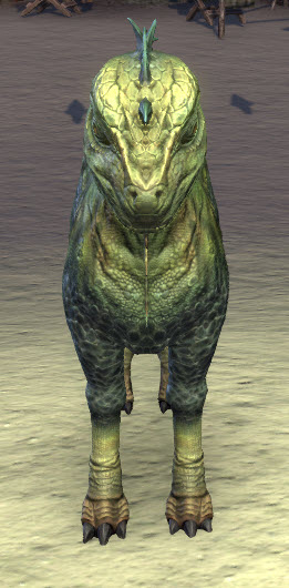 ESO Fashion | Pony-Lizard (Elder Scrolls Online)