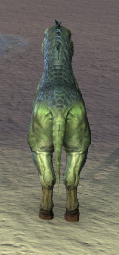 ESO Fashion | Pony-Lizard (Elder Scrolls Online)