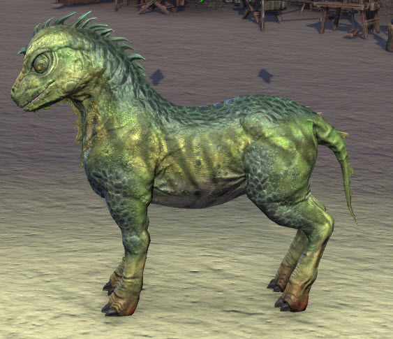 ESO Fashion | Pony-Lizard (Elder Scrolls Online)