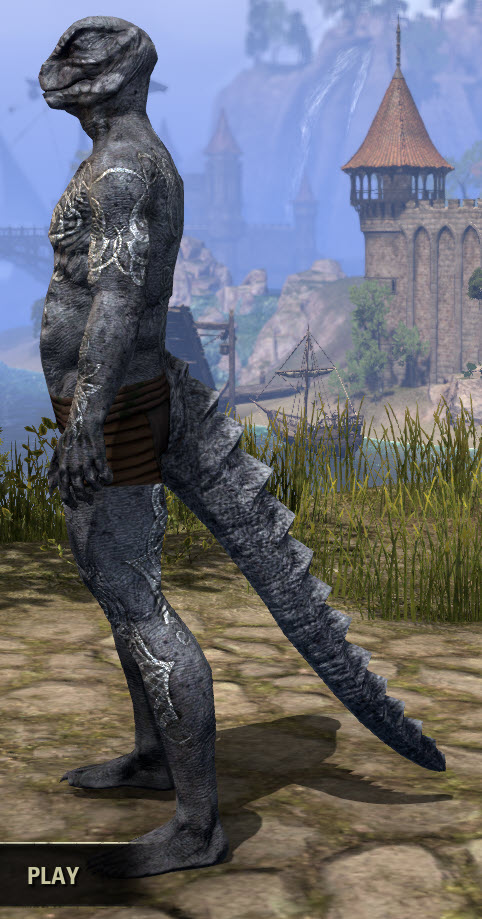 ESO Fashion | Seaborn Silver (Elder Scrolls Online)