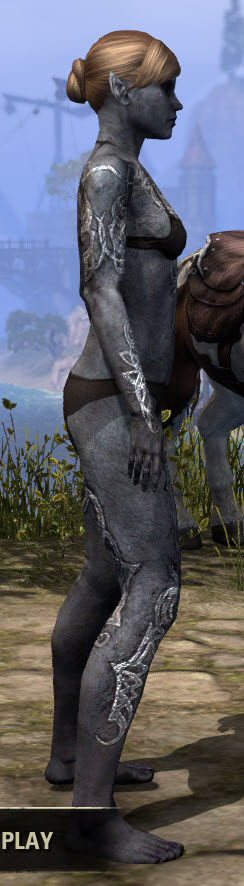 ESO Fashion | Seaborn Silver (Elder Scrolls Online)