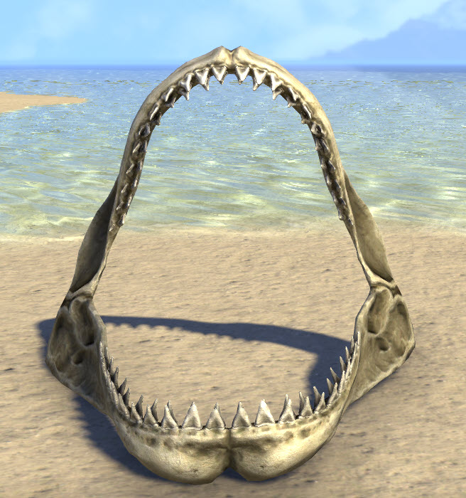 ESO Fashion | Shark Jaw, Massive (Elder Scrolls Online)