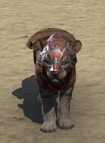 ESO Fashion | Balfiera Senche Cub (Elder Scrolls Online)