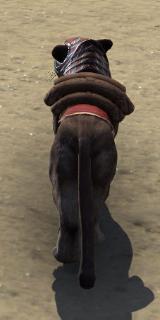 ESO Fashion | Balfiera Senche Cub (Elder Scrolls Online)