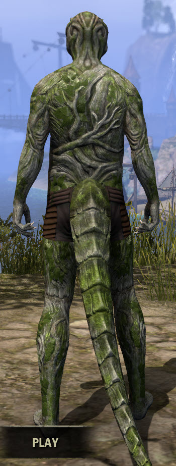 ESO Fashion | Barkroot Blessing (Elder Scrolls Online)