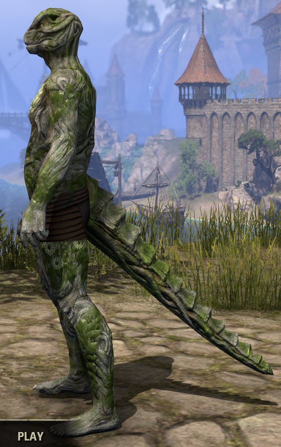 ESO Fashion | Barkroot Blessing (Elder Scrolls Online)