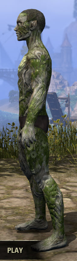 ESO Fashion | Barkroot Blessing (Elder Scrolls Online)