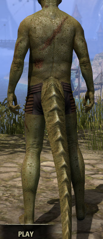 ESO Fashion | Battle-Scarred Body Markings (Elder Scrolls Online)