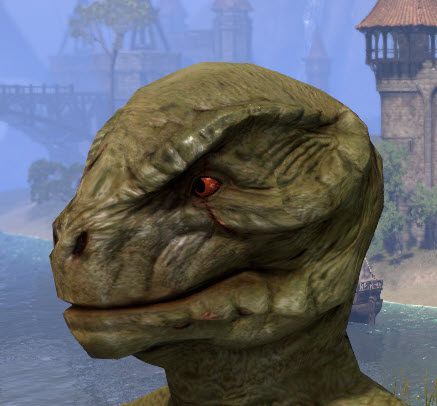 ESO Fashion | Battle-Scarred Face Markings (Elder Scrolls Online)