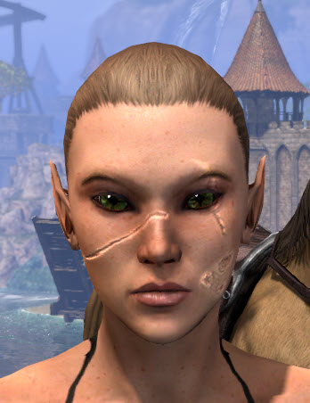 ESO Fashion | Battle-Scarred Face Markings (Elder Scrolls Online)