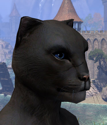 ESO Fashion | Battle-Scarred Face Markings (Elder Scrolls Online)