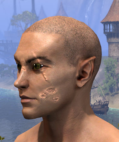 ESO Fashion | Battle-Scarred Face Markings (Elder Scrolls Online)