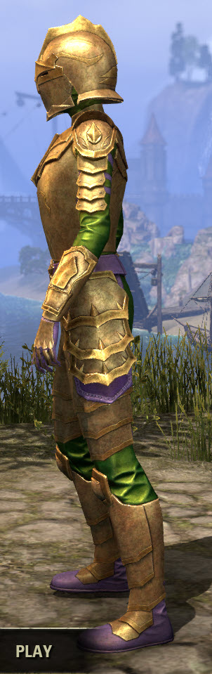 ESO Fashion | Daggerfall Paladin (Elder Scrolls Online)