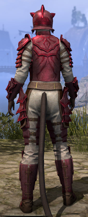 ESO Fashion | Daggerfall Paladin (Elder Scrolls Online)