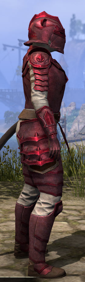 ESO Fashion | Daggerfall Paladin (Elder Scrolls Online)