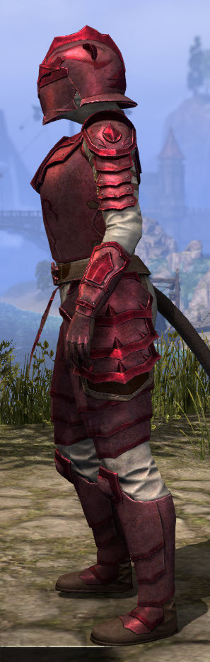 ESO Fashion | Daggerfall Paladin (Elder Scrolls Online)