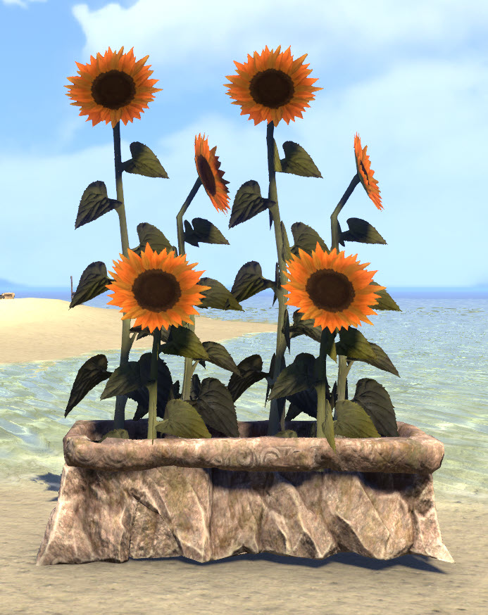 ESO Fashion | Druidic Planter, Sunflowers (Elder Scrolls Online)